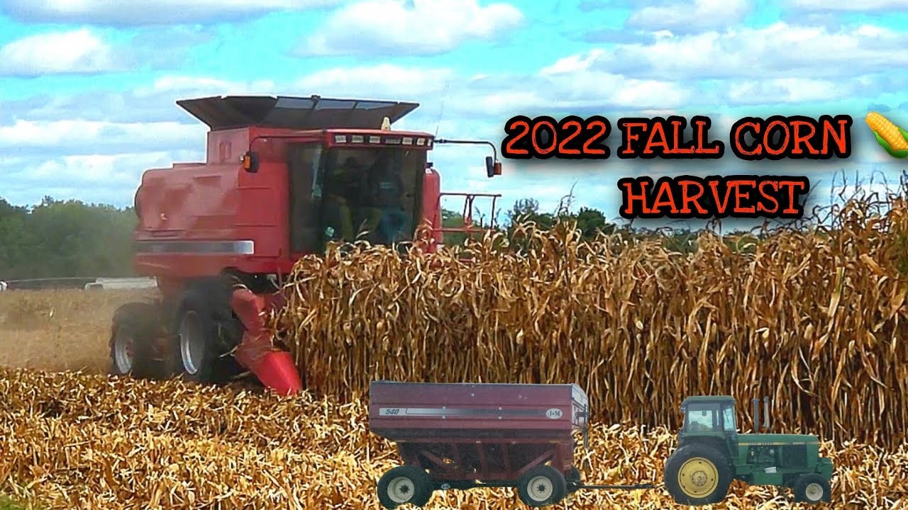 CORN 🌽 HARVEST FALL 2022 CASE IH 2188 AXIAL FLOW COMBINE - YouTube