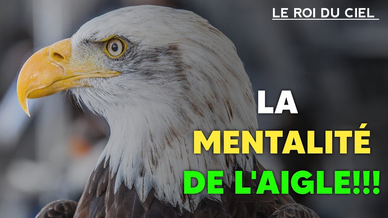 LA MENTALITÉ DE L'AIGLE, MEILLEURE VIDÉO DE MOTIVATION. (Motivation ...