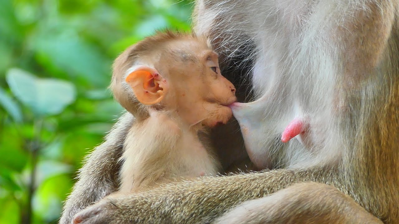 OMG ! Why Libby le-ave Lily a lone like that ! - YouTube