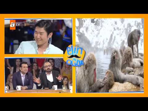 Masataka'dan Japonya'daki kar maymunlarının sırrı! - atv