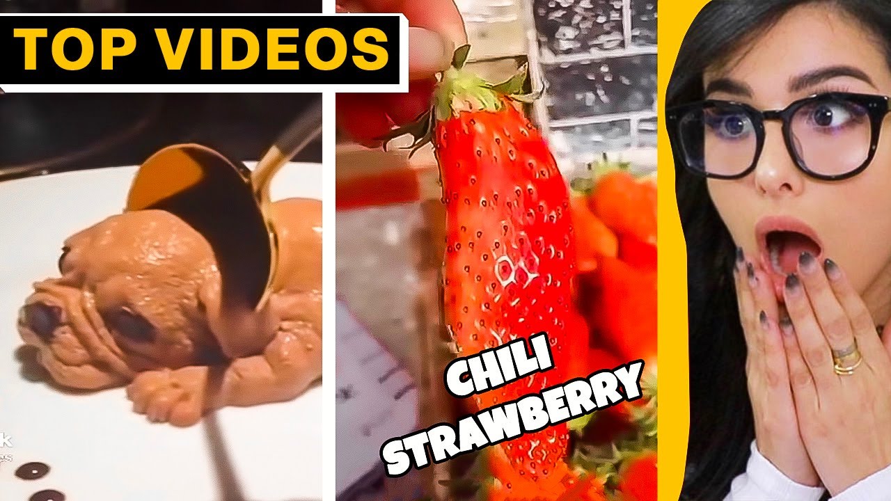 SSSniperwolf's FUNNIEST Reactions to the Best Food Art Creations! - YouTube