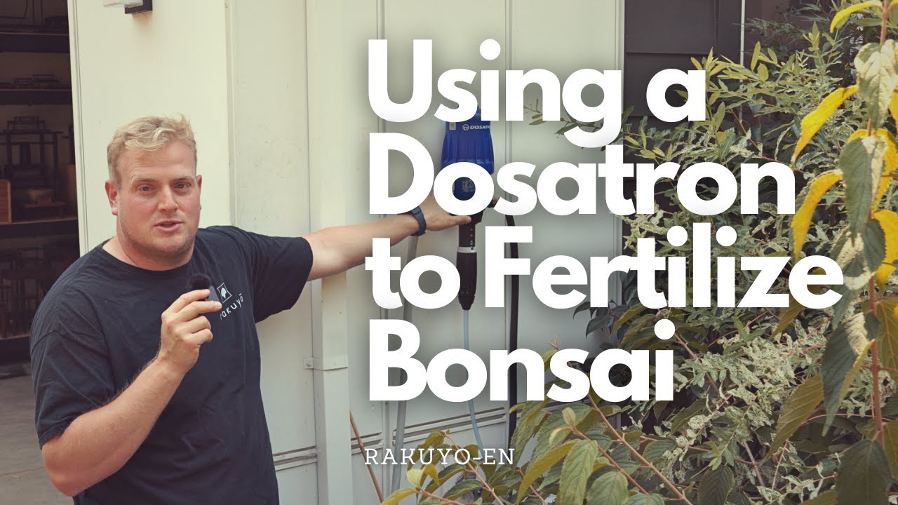 Using a Dosatron to Fertilize Bonsai - YouTube