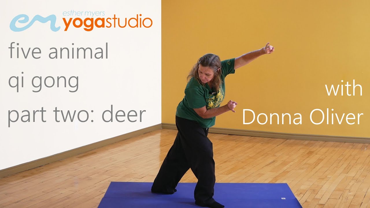 5 Animal Qi Gong part two: Deer, with Donna Oliver - YouTube