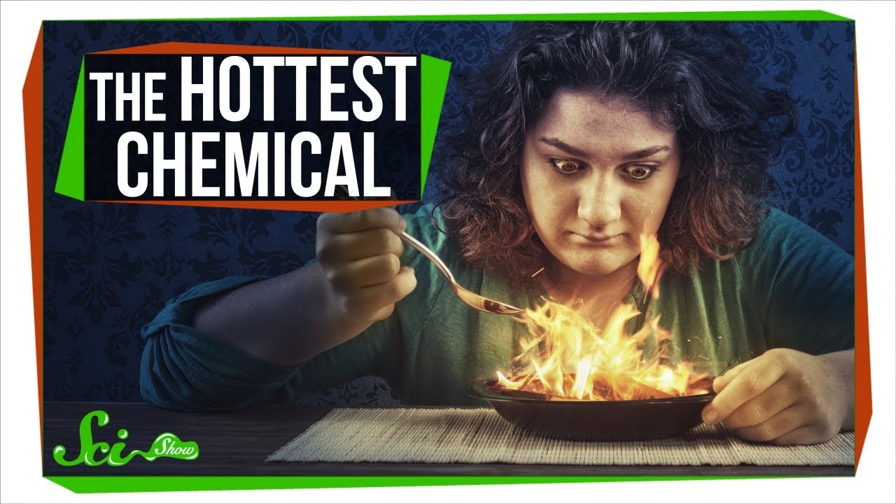 What's the Hottest Chemical in the World? - YouTube