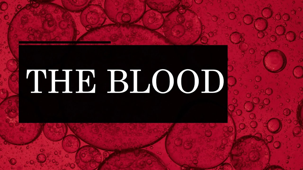 The Blood - YouTube