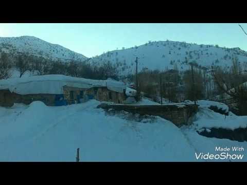 Hasan KARASOY - Kurigawr Malatya Arguvan Atma Şotik