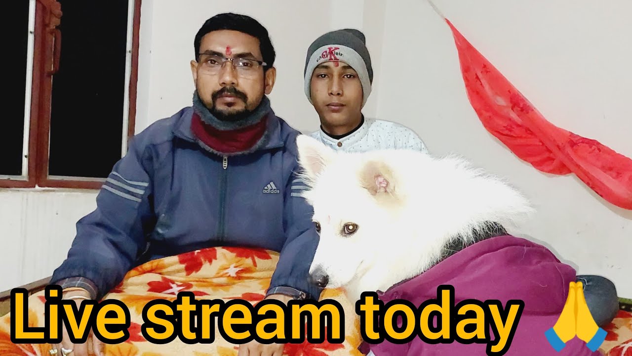 मेरे live में ज्यादा से ज्यादा जुड़े🙏||Ashwini Vlogs is live today ...