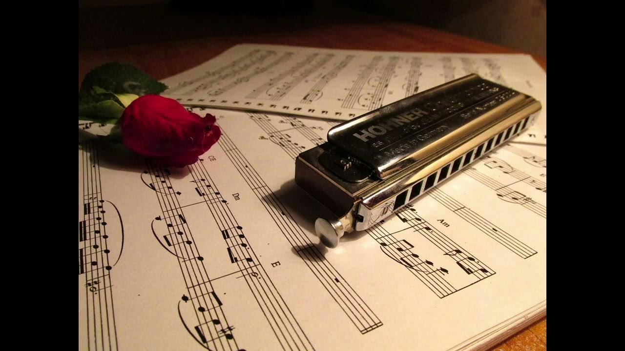 Хроматическая Губная Гармошка Hohner Супер 64 - YouTube