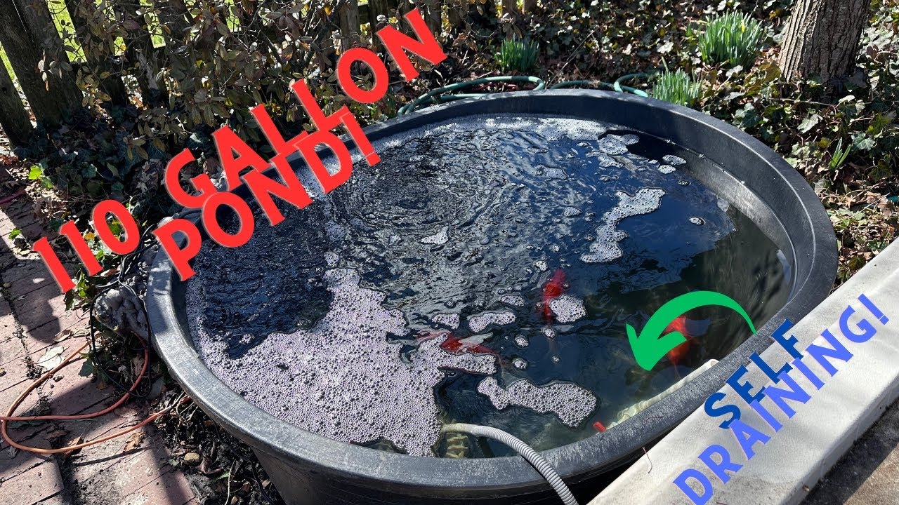 Transforming a Stock Tank into a Stunning Pond Oasis: DIY Project - YouTube