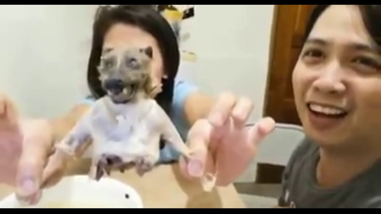 BAT SOUP IN WUHAN CHINA - YouTube