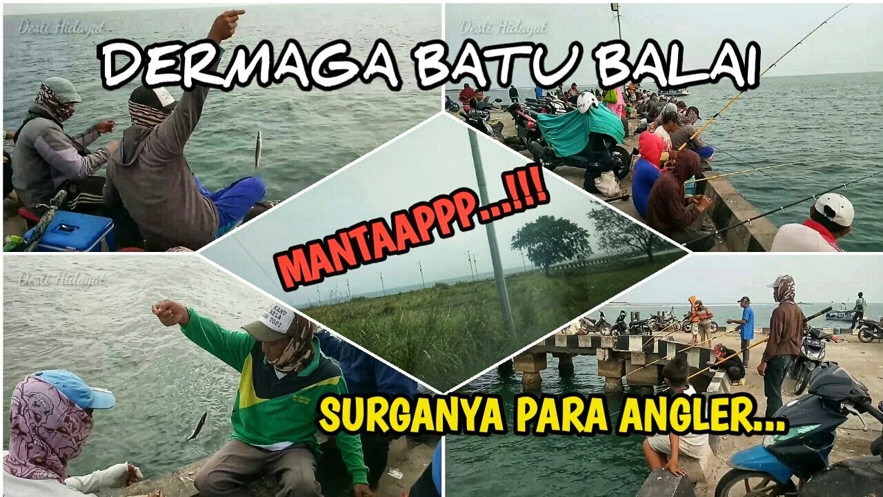 DERMAGA BATU BALAI SURGANYA PARA ANGLER!!! KOTAAGUNG TIMUR TANGGAMUS ...