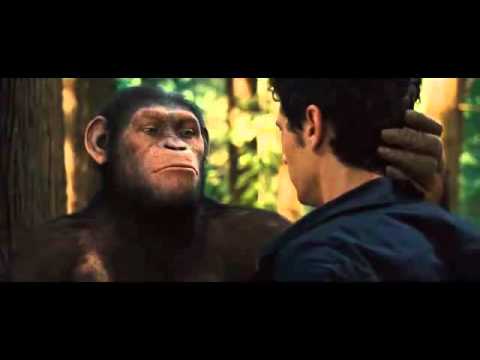 El Origen del Planeta de los Simios - César está en casa [Español ...