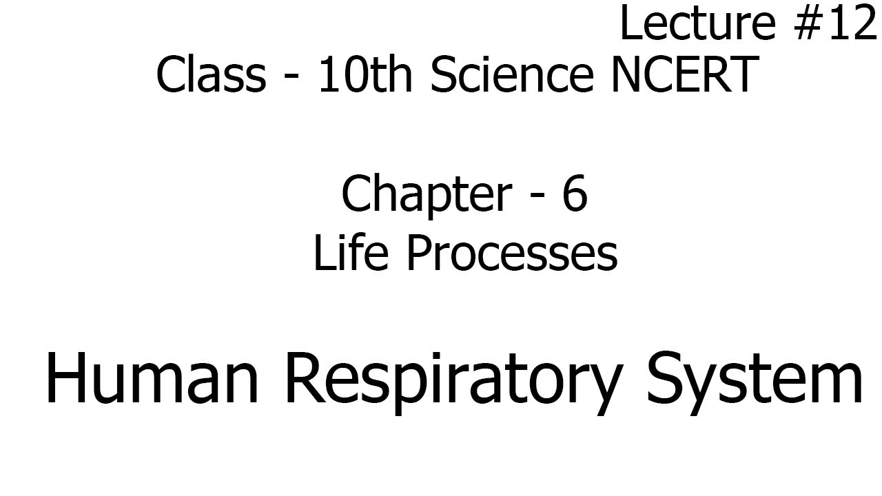 human respiratory system | life processes | science | chapter 6 | class ...