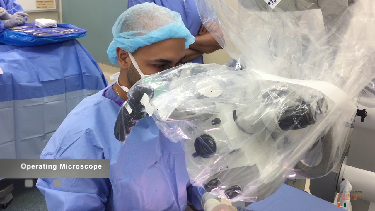 Using microscope for onco-testicular sperm extraction for bilateral ...