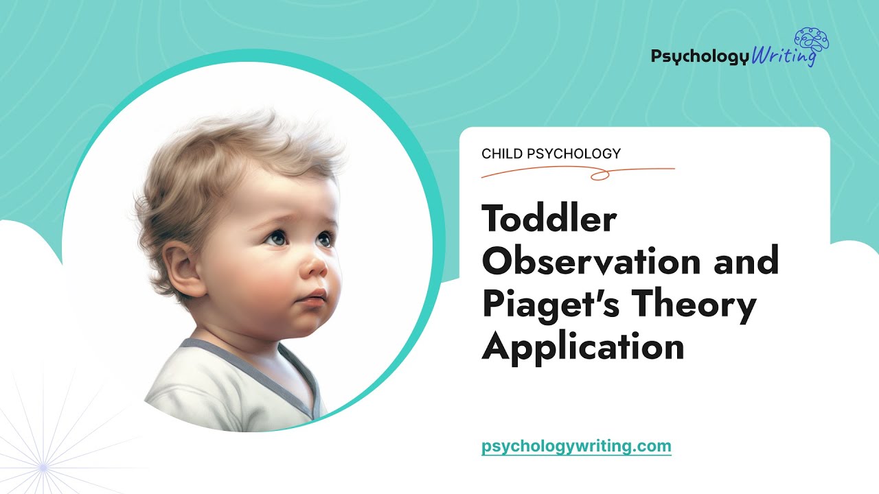 Toddler Observation and Piaget's Theory Application - Essay Example ...
