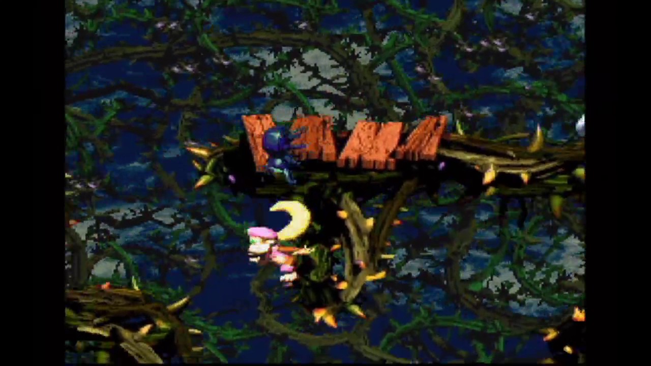 DKC2 - Bramble Scramble (Wrong Warp Backup) - YouTube