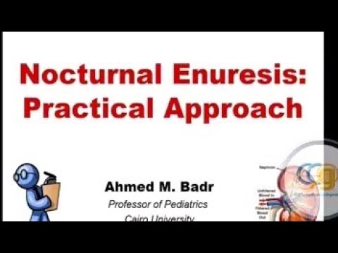 Nocturnal Enuresis Practical Approach Prof Ahmed Badr