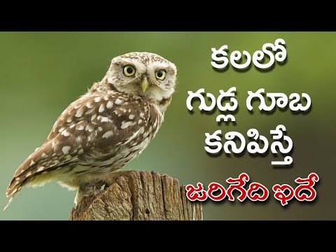 Kalalo Gudlaguba Kanipisthe | Owl Kalalo Kanipisthe | Kalalu Vati Phalithalu | Laxmi Devotional ...