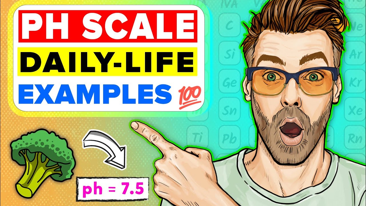 What is the PH Scale? Importance of PH in Everyday Life | Acids, Bases ...