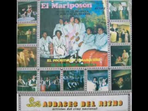EL POCHITO DE TABASCO (Los Audases del Ritmo) - YouTube