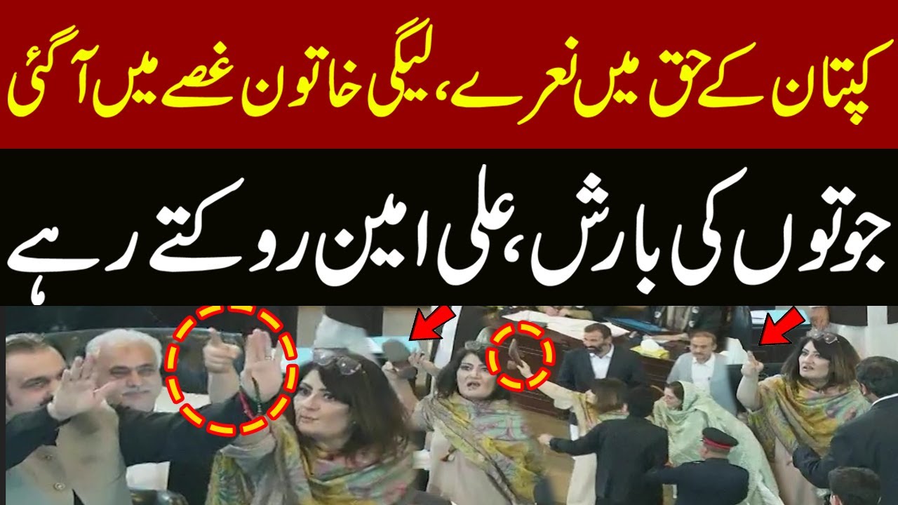 Slogans Favor Of Imran Khan | PMLN Lady Got Angry | Ali Amin | Express ...