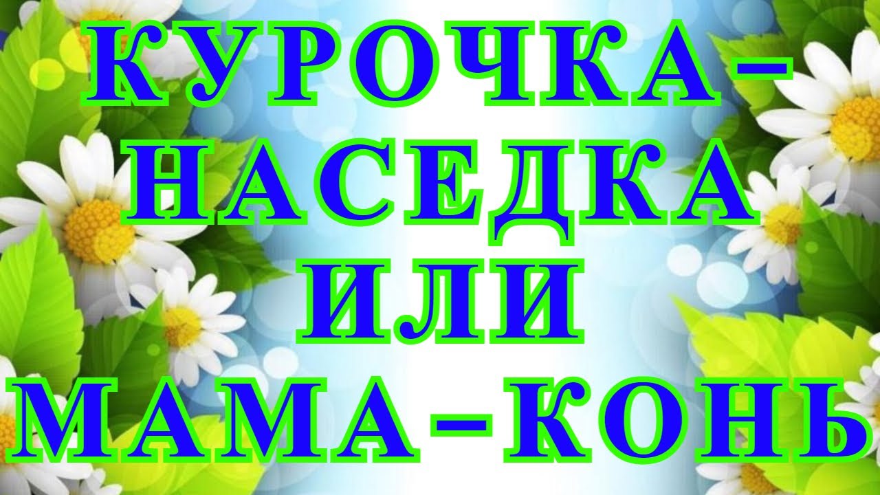 Деревенский дневник очень многодетной мамы /Стрим/Курочка наседка или ...