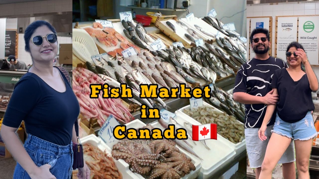 Fish market in Canada | what kind of fish are available | Canada fish ...