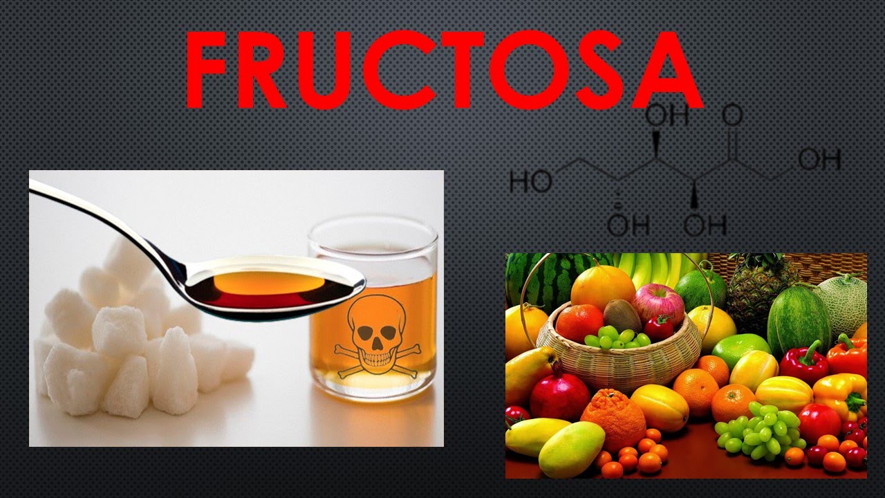 ¿ Que es la fructosa ? / Escribiendo mi receta / Gastronomía / Chef ...