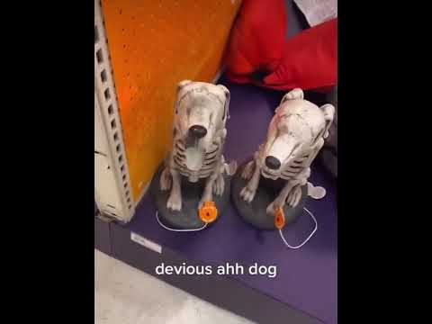 Devious ahh dog meme (Drake’s dog) - YouTube