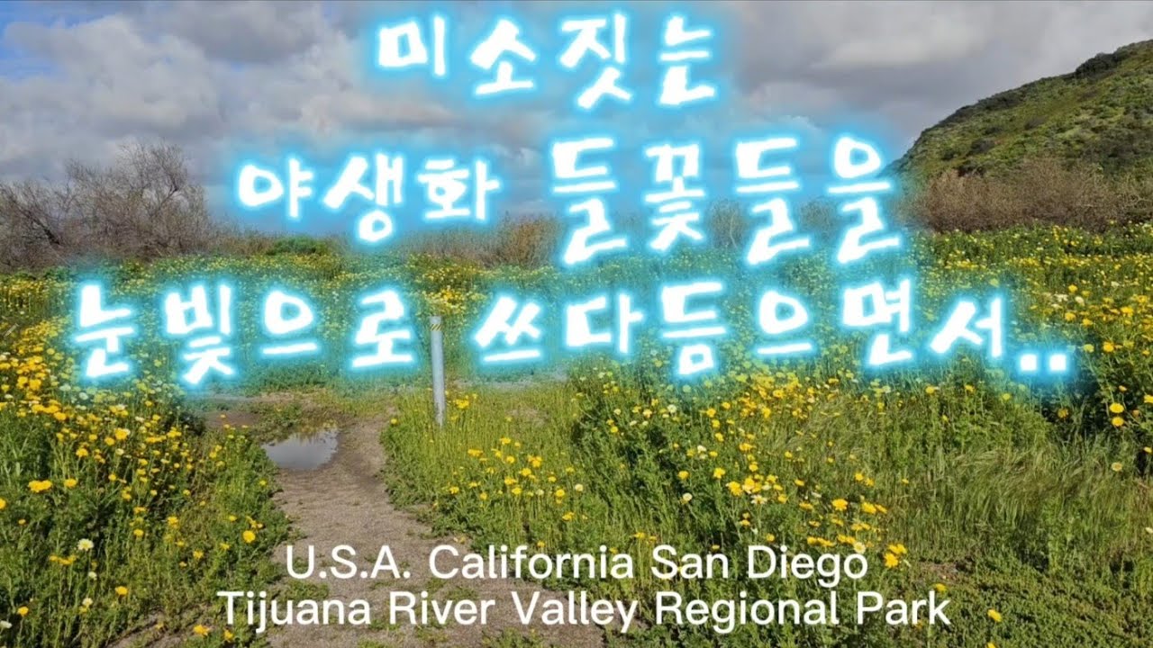 야생화 들꽃들을 눈빛으로 쓰다 듬으면서.. Tijuana River Valley Regional Park - YouTube