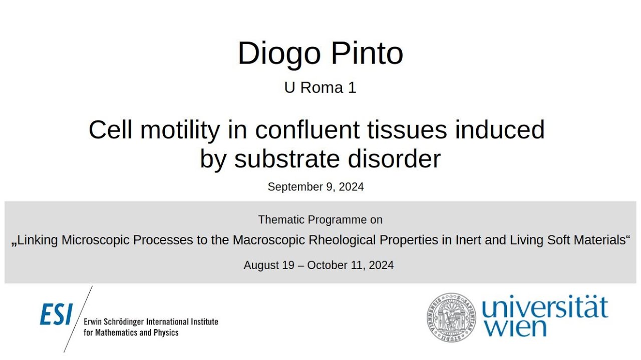 Diogo Pinto - Cell motility in confluent tissues induced by substrate ...