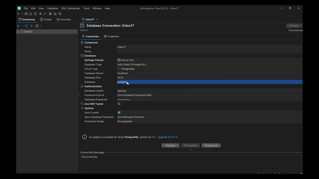 Tutorial DBVisualizer - Installation and Configuration to Odoo 17 [MSIB 7 X PT Ctech ERP ...