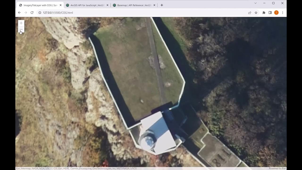 ArcGIS Maps SDK for JavaScript で Cloud Optimized GeoTIFF (COG) を表示 ...