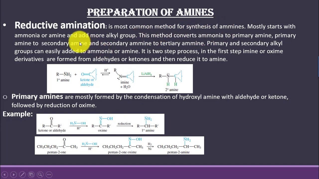Amines Chemistry of Amines Synthesis of Amines - YouTube