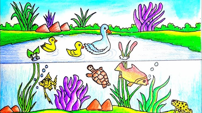 Pond Ecosystem Drawing Pond Ecosystem Drawing