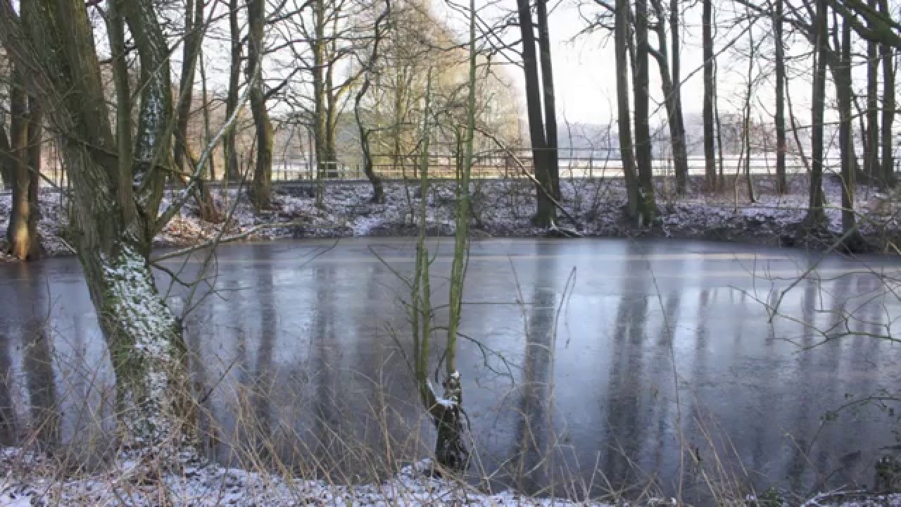 Erdfall Icker Loch - Sinkhole in Icker - YouTube