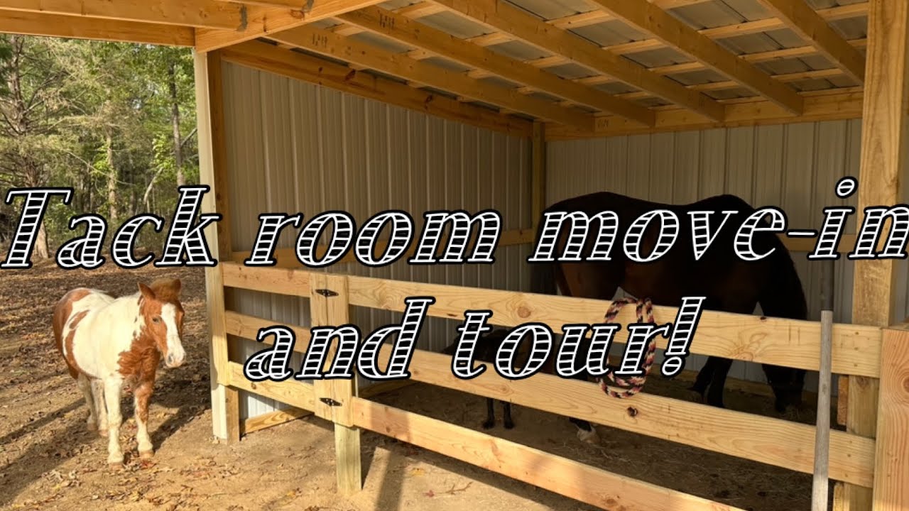 Our new tack room tour! (small tack room idea) - YouTube