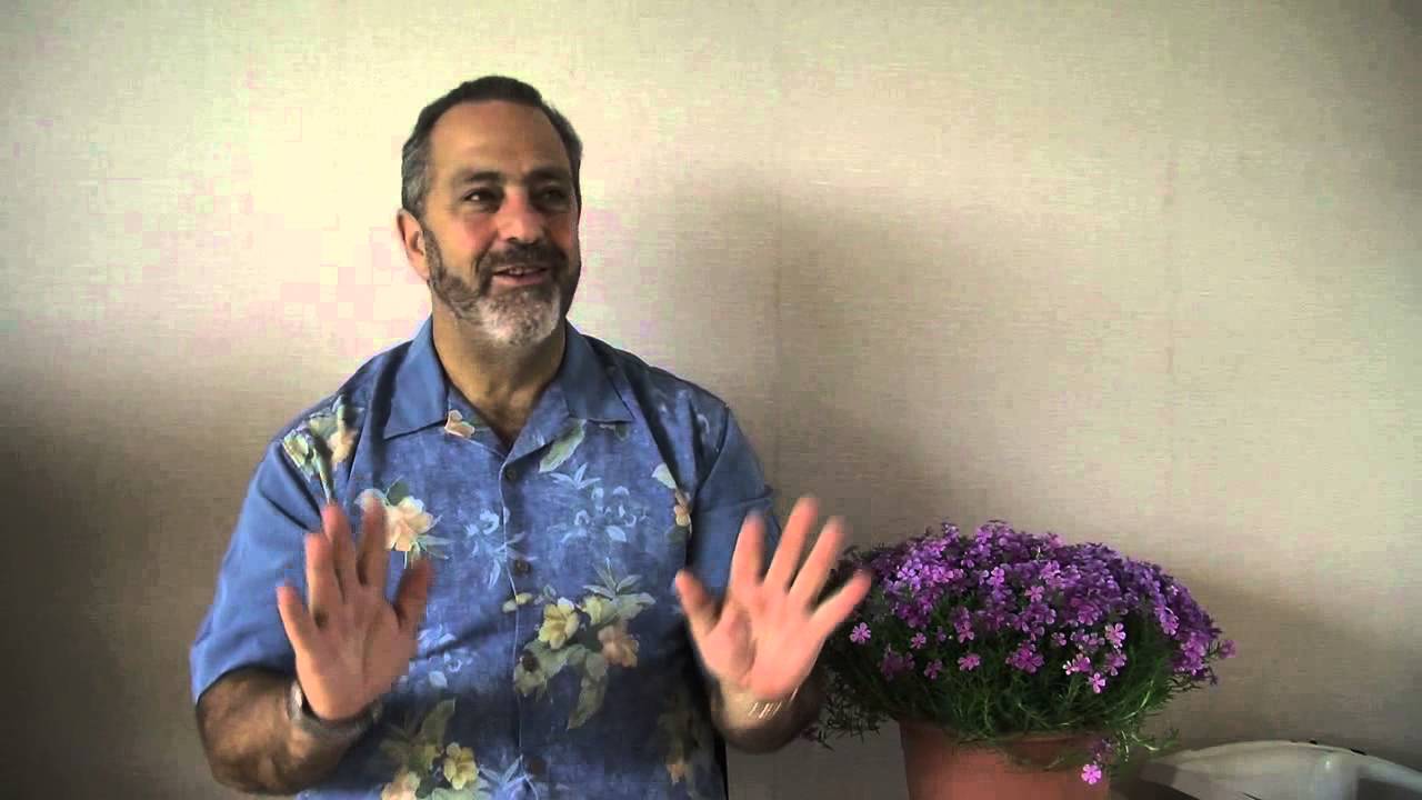 Isaac Shapiro - Full interview - YouTube