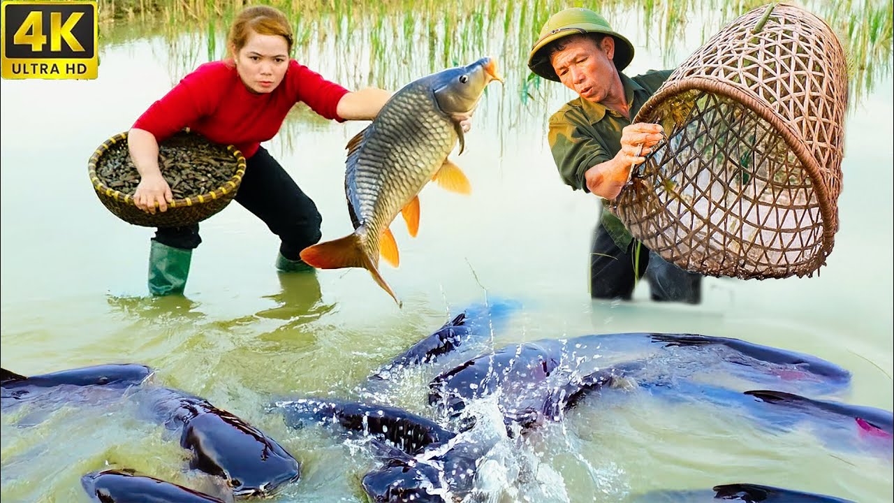 Shocking Catch! Monster Fish Hiding in Pond – Hand Fishing & Cooking ...