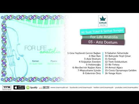 For Life / Anatolia - Aziz Dostum instrumantal piano keman