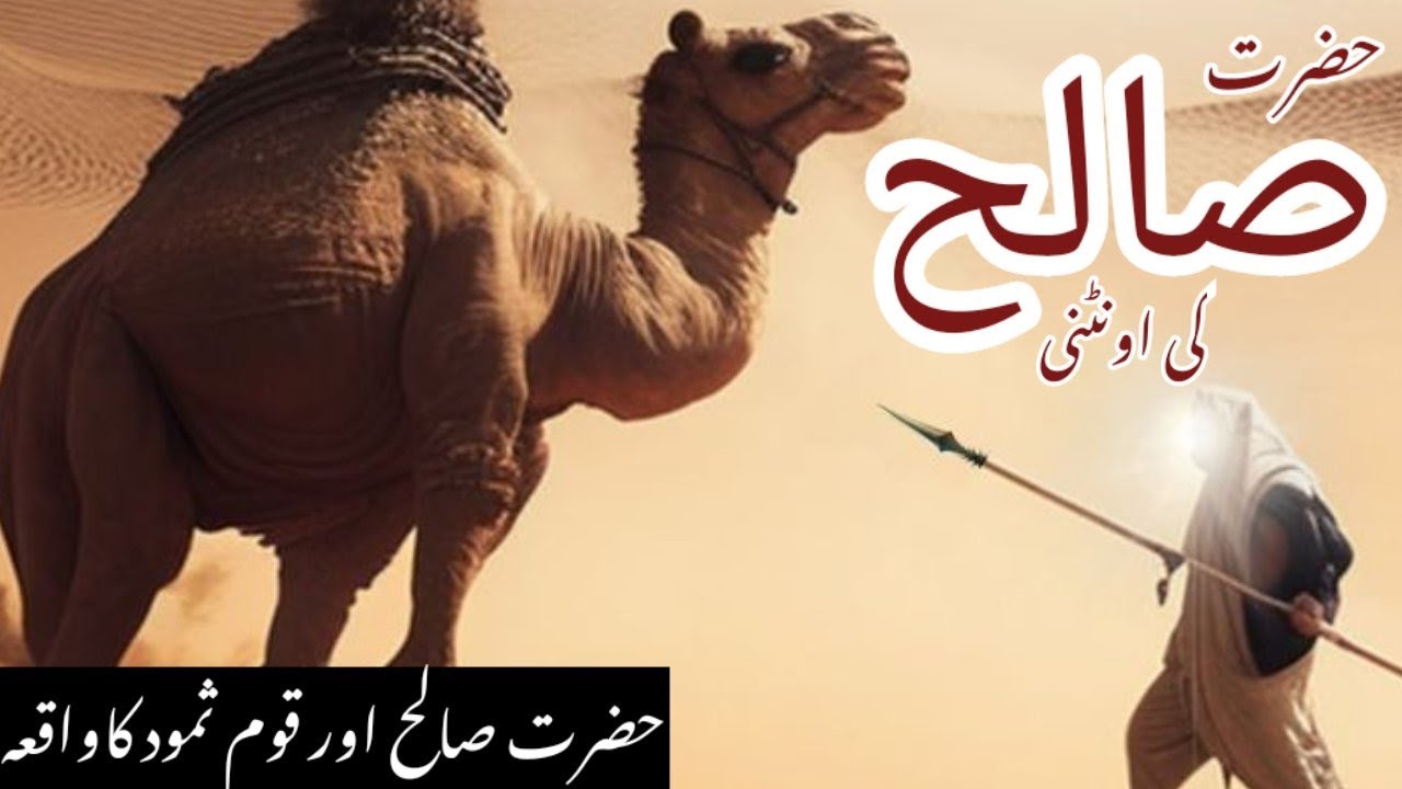 Qisa hazrat Saleha AS ka|Hazrat saleha AS story in Urdu|Qasas ul anbiya ...