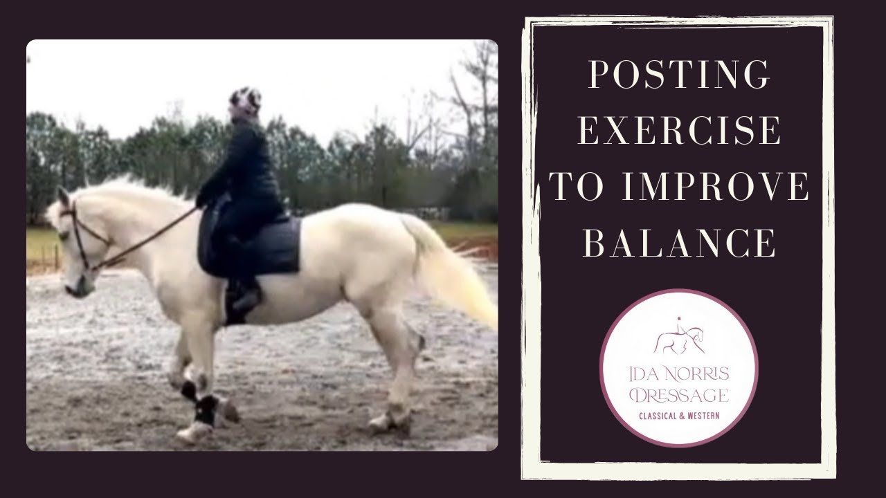 Posting Exercise to Improve Balance //Dressage // Western Dressage ...