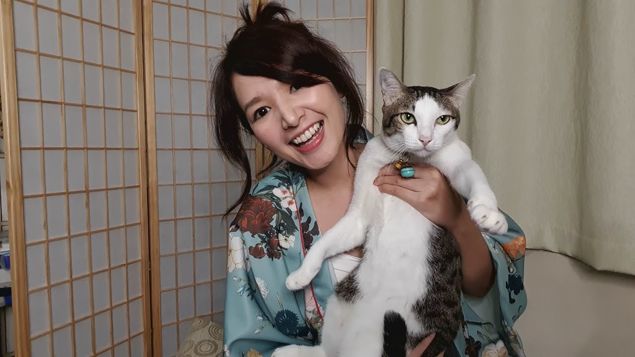 Live「29 Aug 2021」Free Talk, Cat Show อวดแมว คุยเล่นภาษาไทยญี่ปุ่น - YouTube