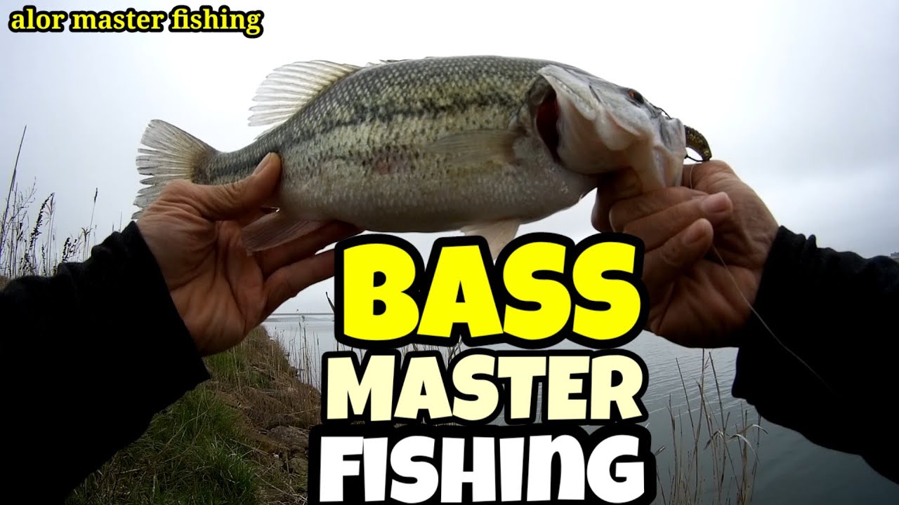 Achieve Success in Korean Spring Bass Fishing - YouTube