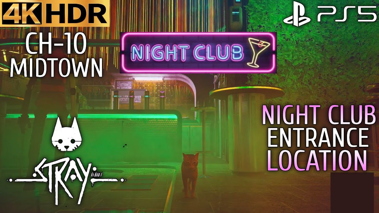 Stray Night Club Location |Stray How to Reach Nightclub | Stray Night ...