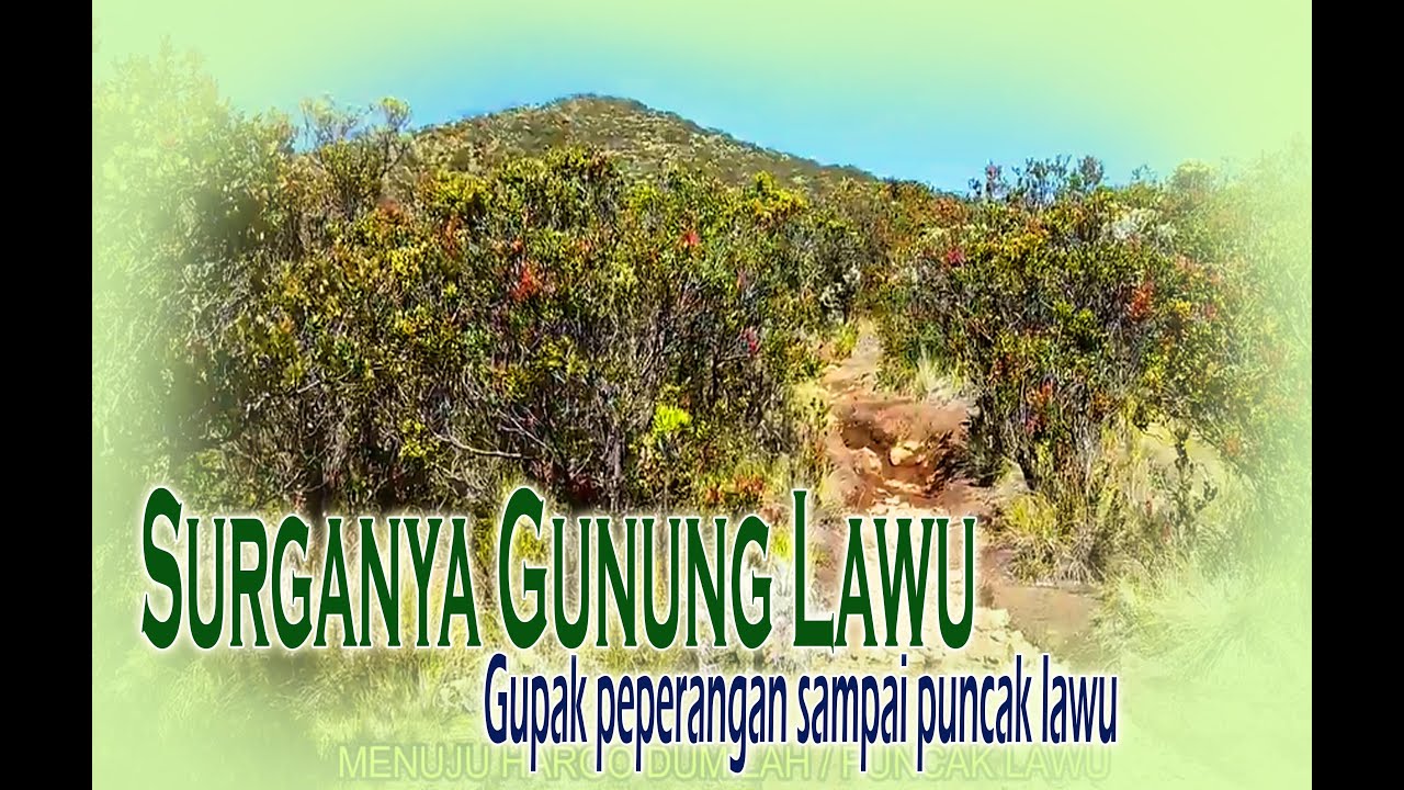 SURGANYA GUNUNG LAWU, BULAK PEPERANGAN HINGGA PUNCAK LAWU VIA CANDI ...