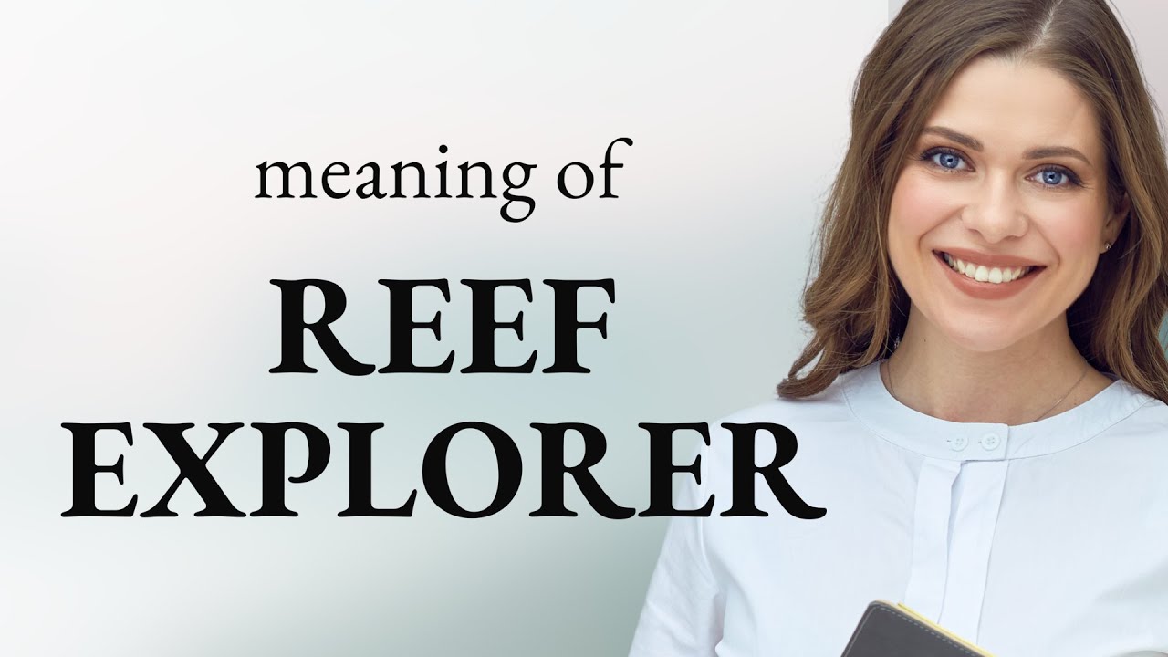 Exploring the Depths: Understanding "Reef Explorer" - YouTube