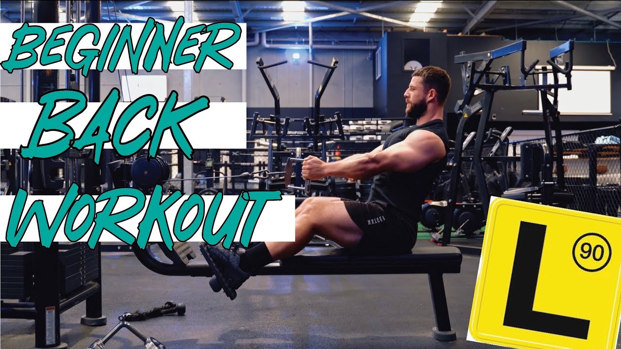 BEGINNER BACK WORKOUT - YouTube