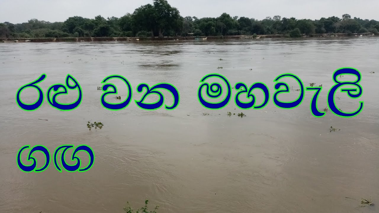 රළු වන මහවැලි ගඟ/srilanka/2023/sl vision - YouTube