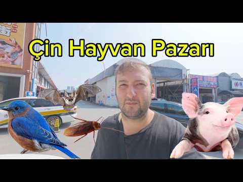 ÇİN HAYVAN PAZARI